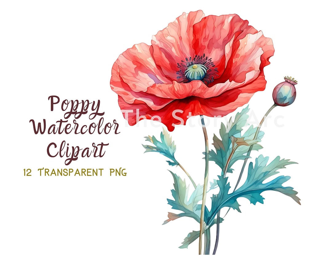 Watercolor Poppy Clipart, Poppy PNG, Digital Download for Scrapbooking ...