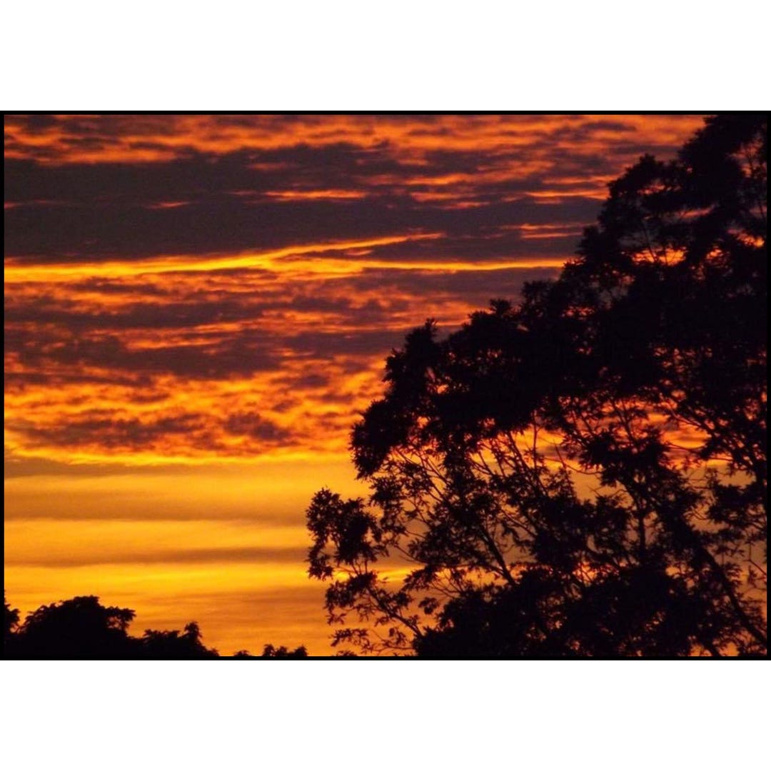 Sunset Woven Blanket - Etsy