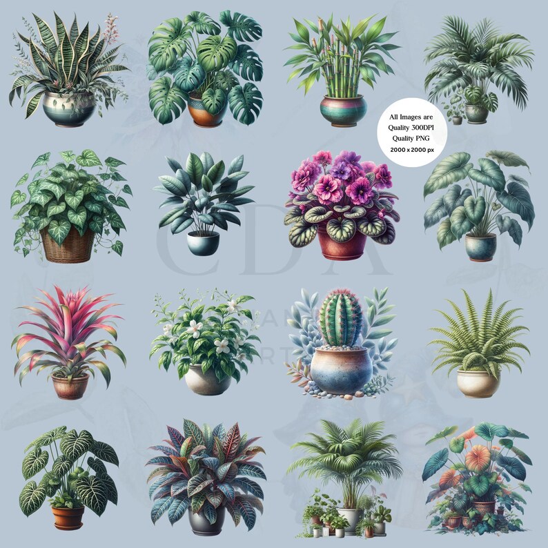 Luscious House Plants PNG Clipart Bundle 2 | Watercolour Greenery Trees ...
