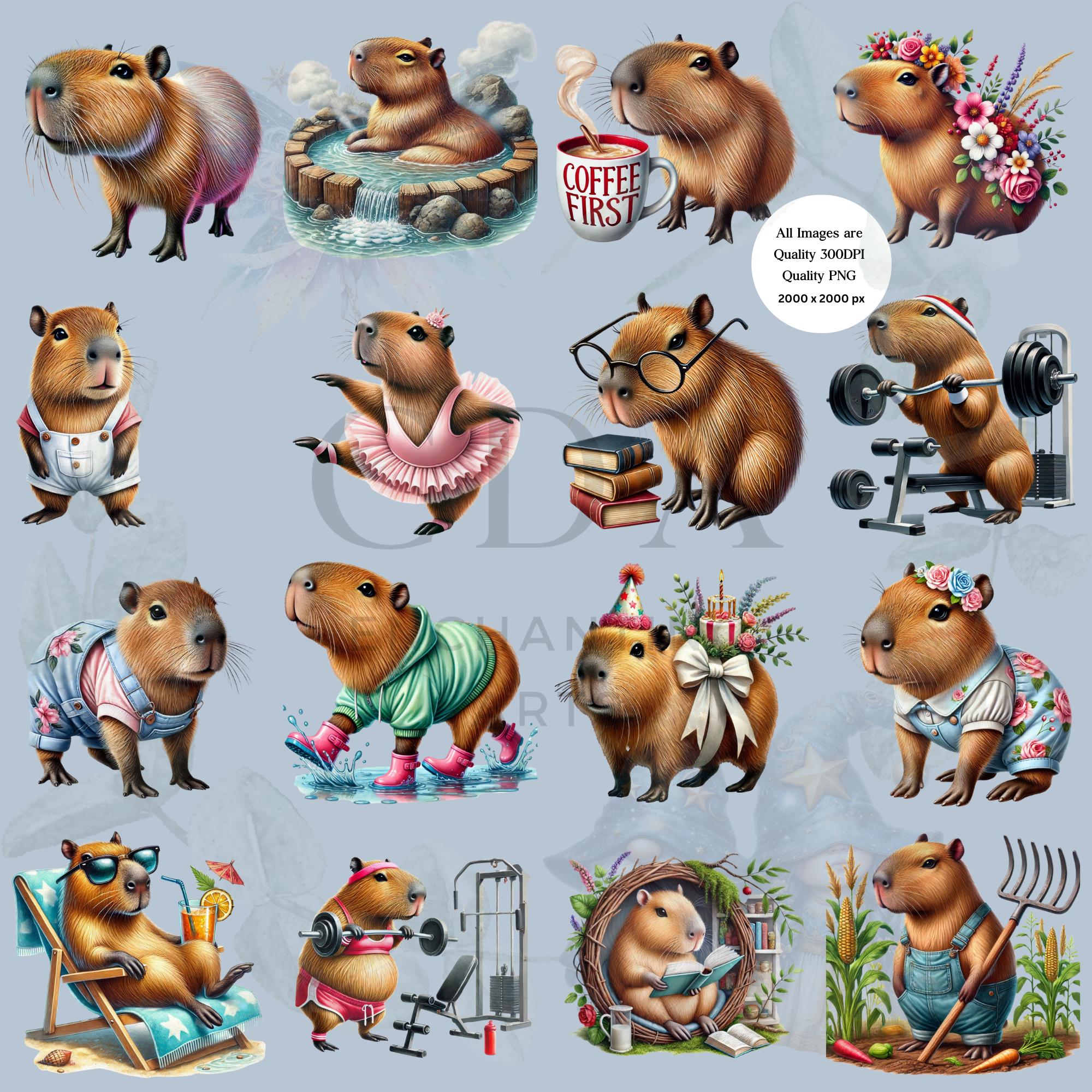 Whimsical Capybara Clipart PNG Bundle | Funny Animal | Cute Quirky ...