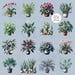 Luscious House Plants PNG Clipart Bundle | Watercolour Greenery | Junk ...