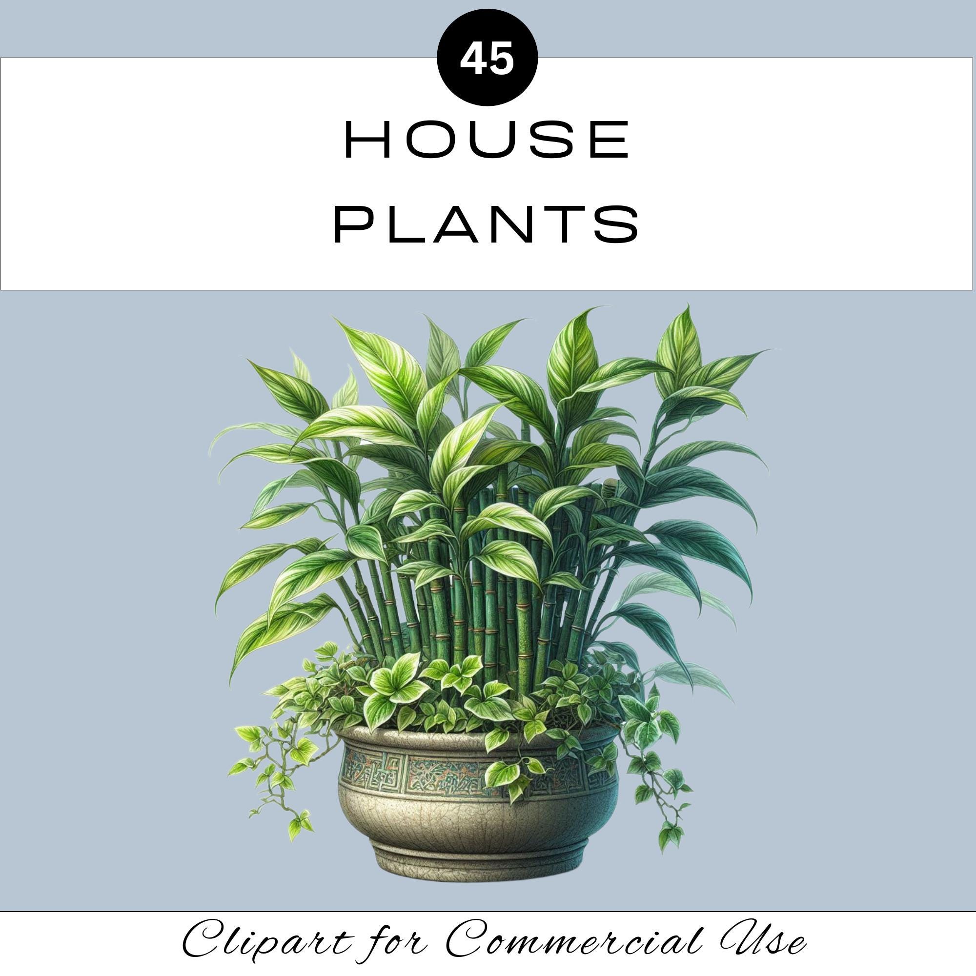 Luscious House Plants PNG Clipart Bundle | Watercolour Greenery | Junk ...
