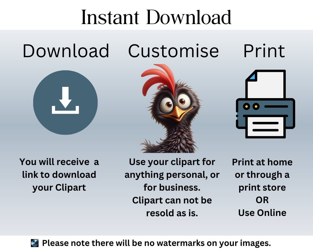 Funny Chicken Clipart Set Cute Chook Pngs Chicken Sublimations for ...