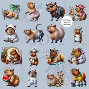 Whimsical Capybara Clipart PNG Bundle | Funny Animal | Cute Quirky ...