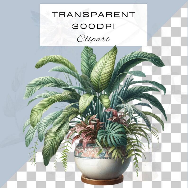Luscious House Plants PNG Clipart Bundle 2 | Watercolour Greenery Trees ...