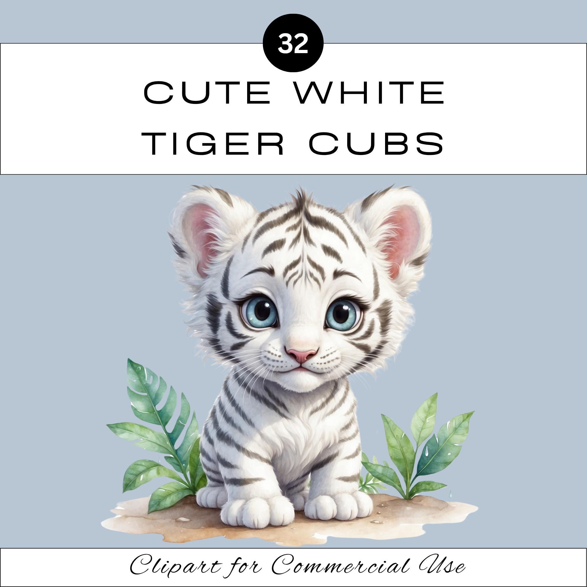 Cute Baby White Tiger PNG Clipart Bundle | Adorable Safari Animal Cub ...