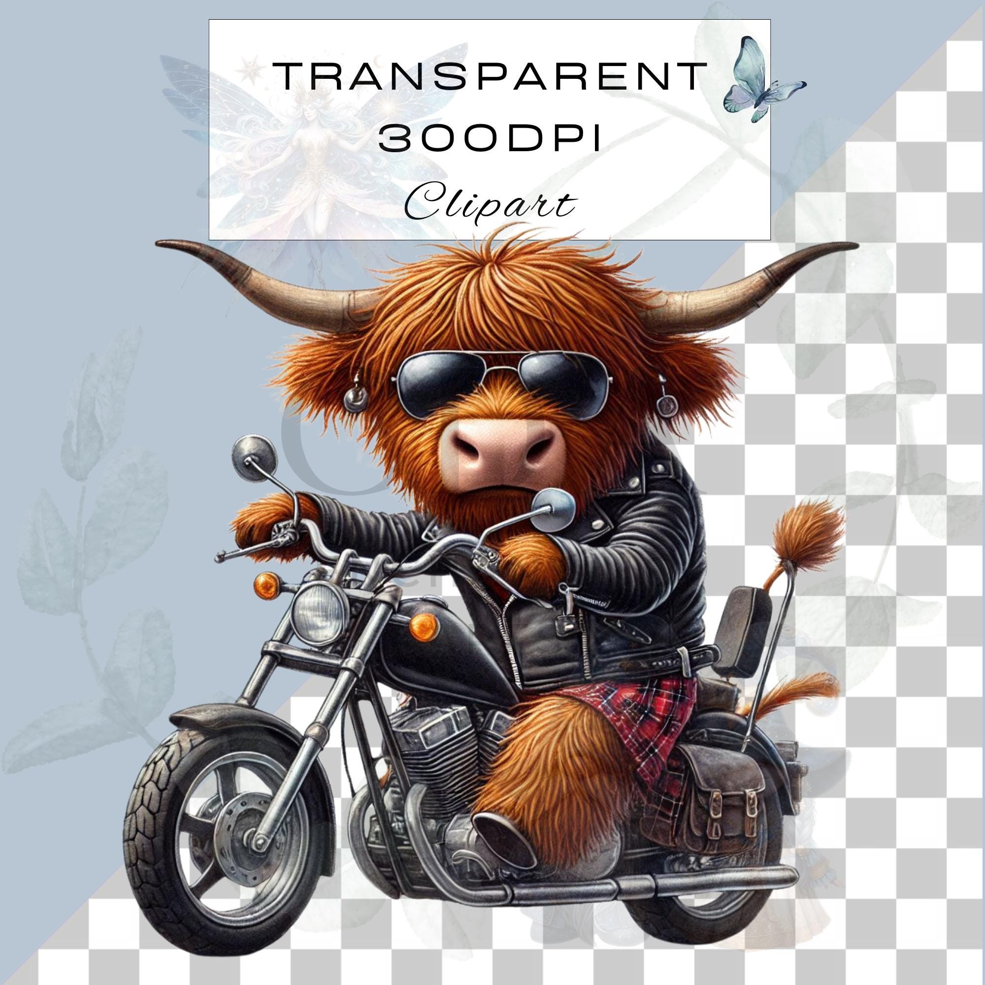 Funny Biker Highland Cow PNG Bundle | Cute Quirky Motorcycle Calf ...