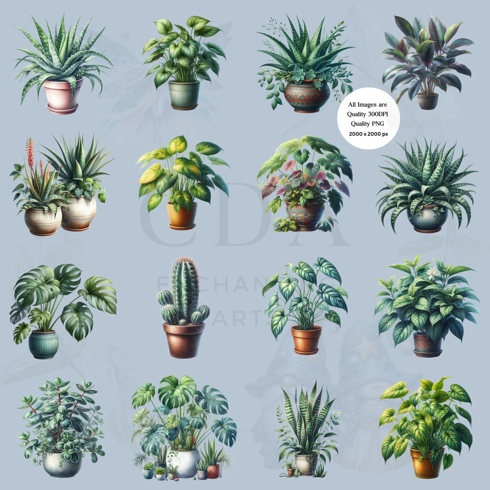 Luscious House Plants PNG Clipart Bundle | Watercolour Greenery | Junk ...