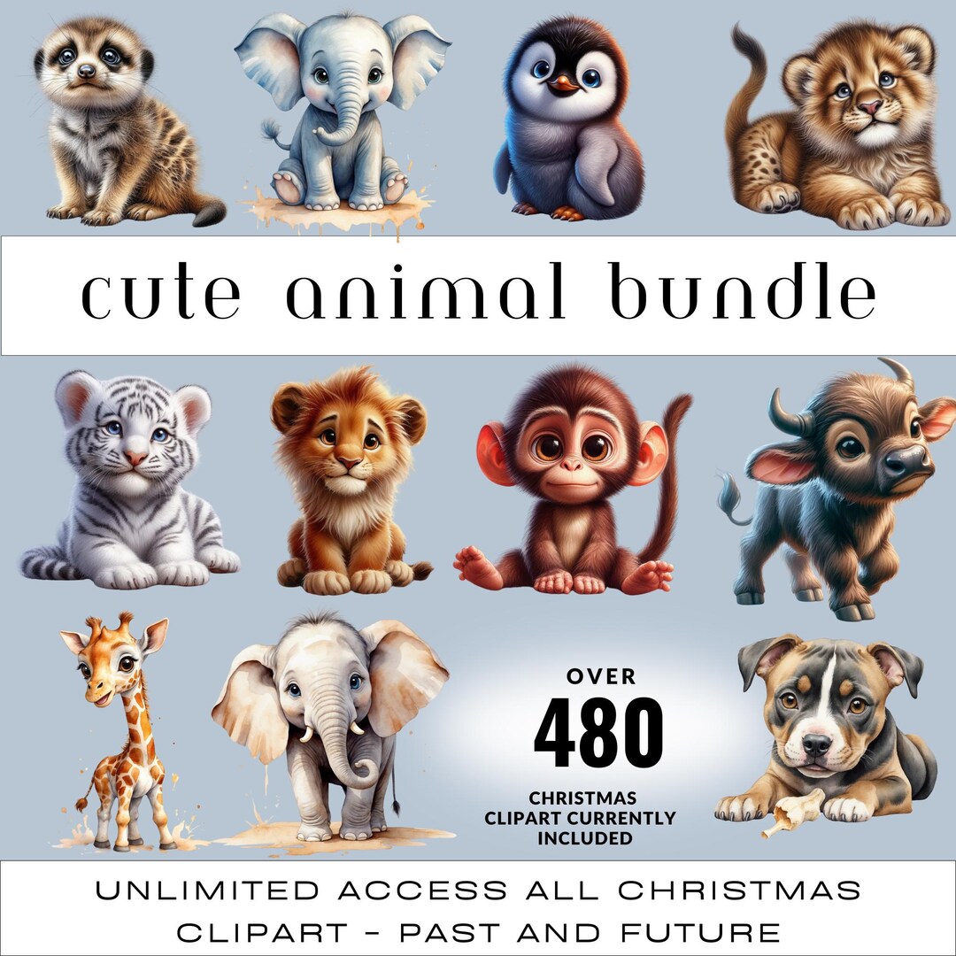 Cute Animal Clipart PNG Bundle Lifetime Commercial Use Funny Quirky ...