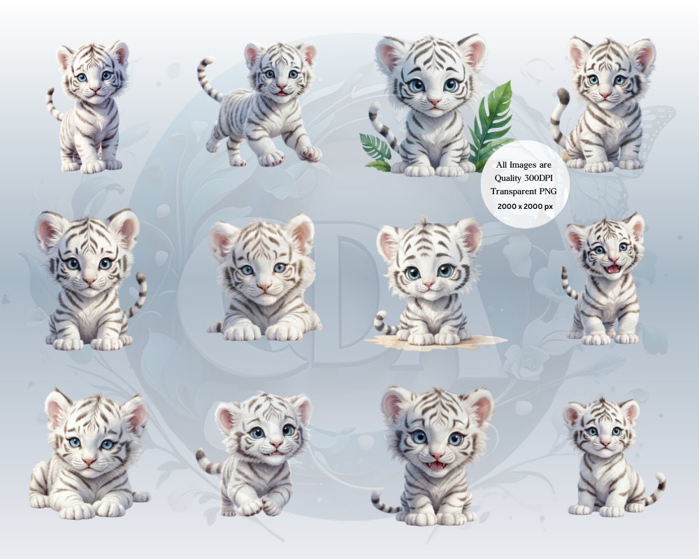 Cute Baby Tiger PNG Adorable White Tiger Cub Clipart Bundle Safari ...