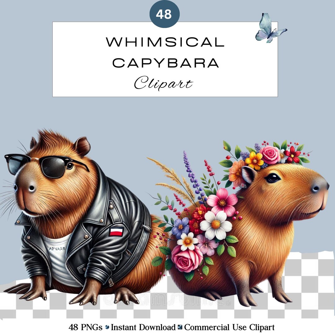 Whimsical Capybara Clipart PNG Bundle | Funny Animal | Cute Quirky ...