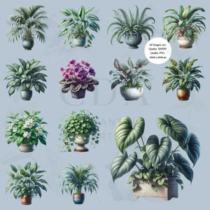 Luscious House Plants PNG Clipart Bundle 2 | Watercolour Greenery Trees ...