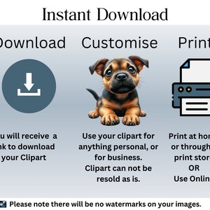 Funny Staffy Dog Clipart Set | Cute Dog Graphics for Creators | High ...