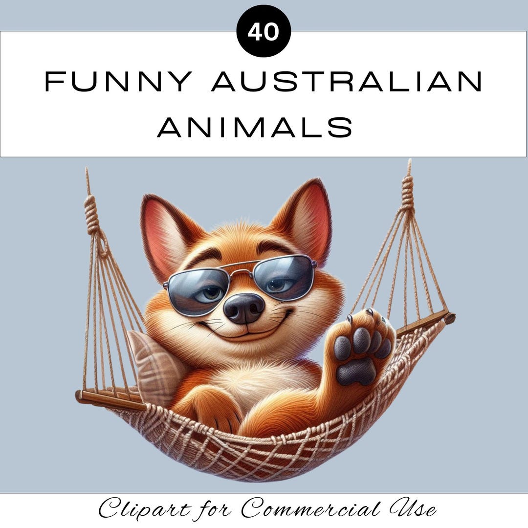 Funny Australian Animals Clipart PNG Bundle | Cute Australia ...