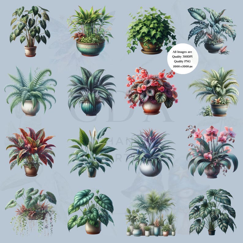 Luscious House Plants PNG Clipart Bundle 2 | Watercolour Greenery Trees ...