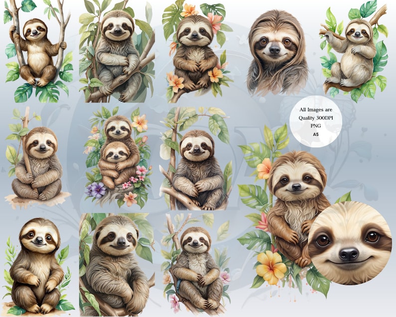 Cute Sloth PNG Clipart Bundle 26 Transparent PNG Files Commercial Use ...