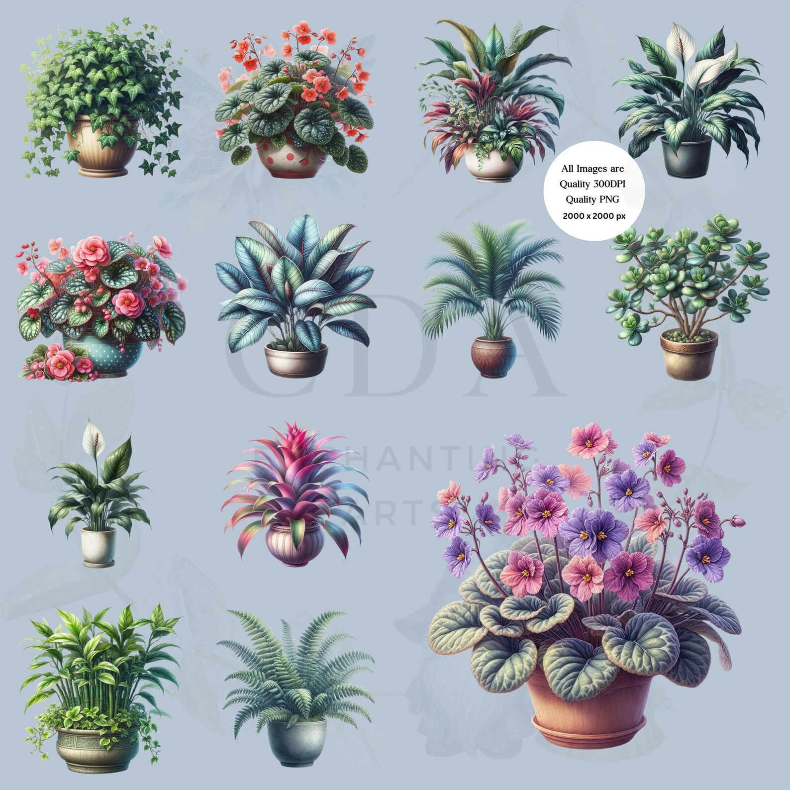 Luscious House Plants PNG Clipart Bundle | Watercolour Greenery | Junk ...