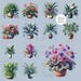Luscious House Plants PNG Clipart Bundle | Watercolour Greenery | Junk ...