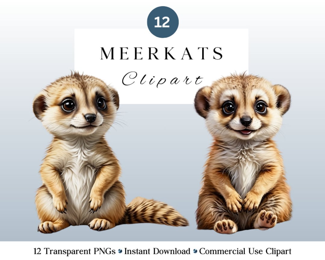Cute Meerkat Clipart PNG Watercolor Meerkats Transparent PNG Safari ...