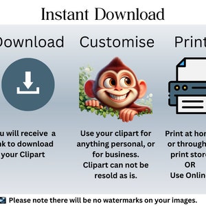 Funny Monkey Clipart Bundle | Cute Animal PNG Graphics for Creators ...