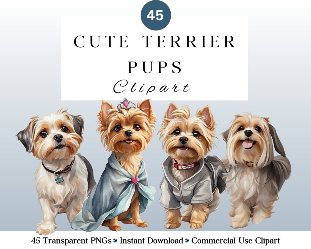 Cute Silky Terrier Pups Clipart PNG | Maltese Shitzu | Silky Terrier ...