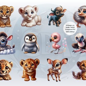 Cute Safari Animals Clipart PNG Cute Wildlife Watercolour Zoo Animals ...