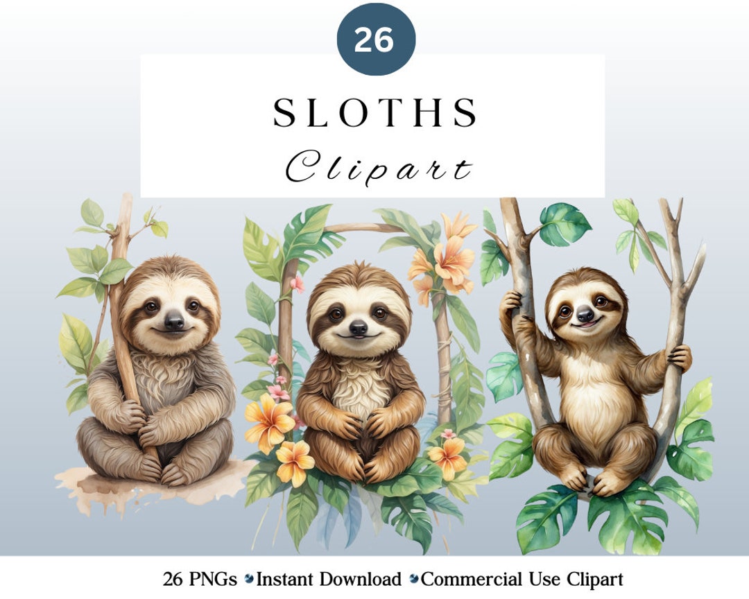 Cute Sloth PNG Clipart Bundle | 26 Transparent PNG Files | Commercial ...