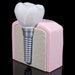 Detailed 3D Printed Dental Implant Model - Etsy