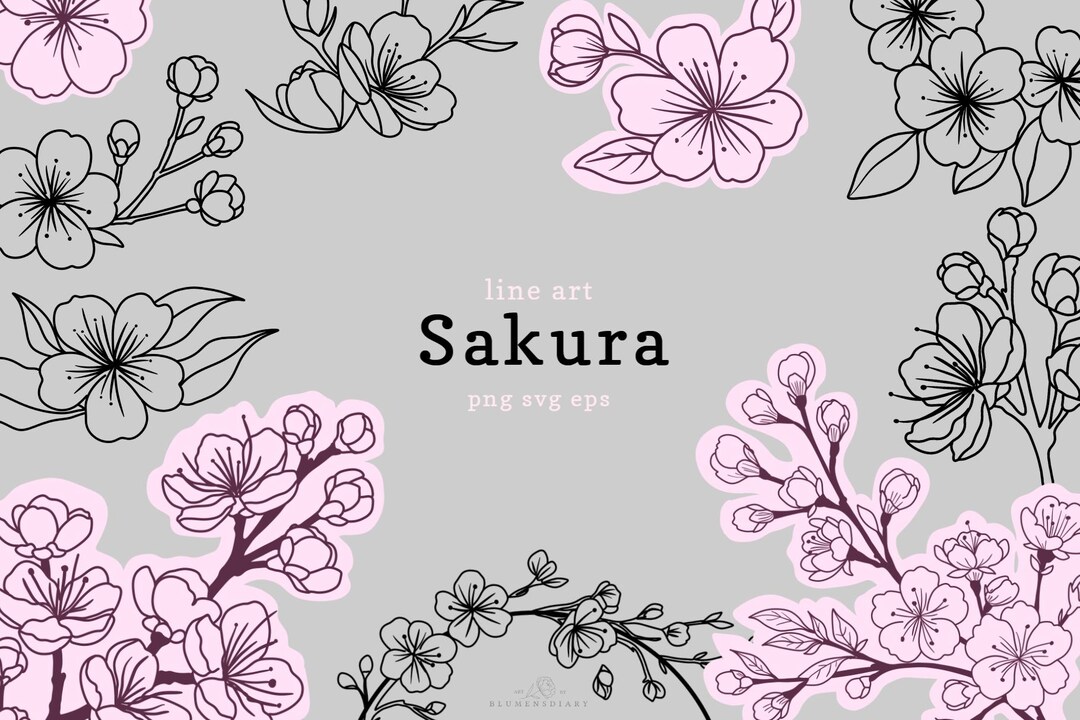 Sakura Line Art High-quality Pngs Vector SVG EPS | Spring Clipart ...