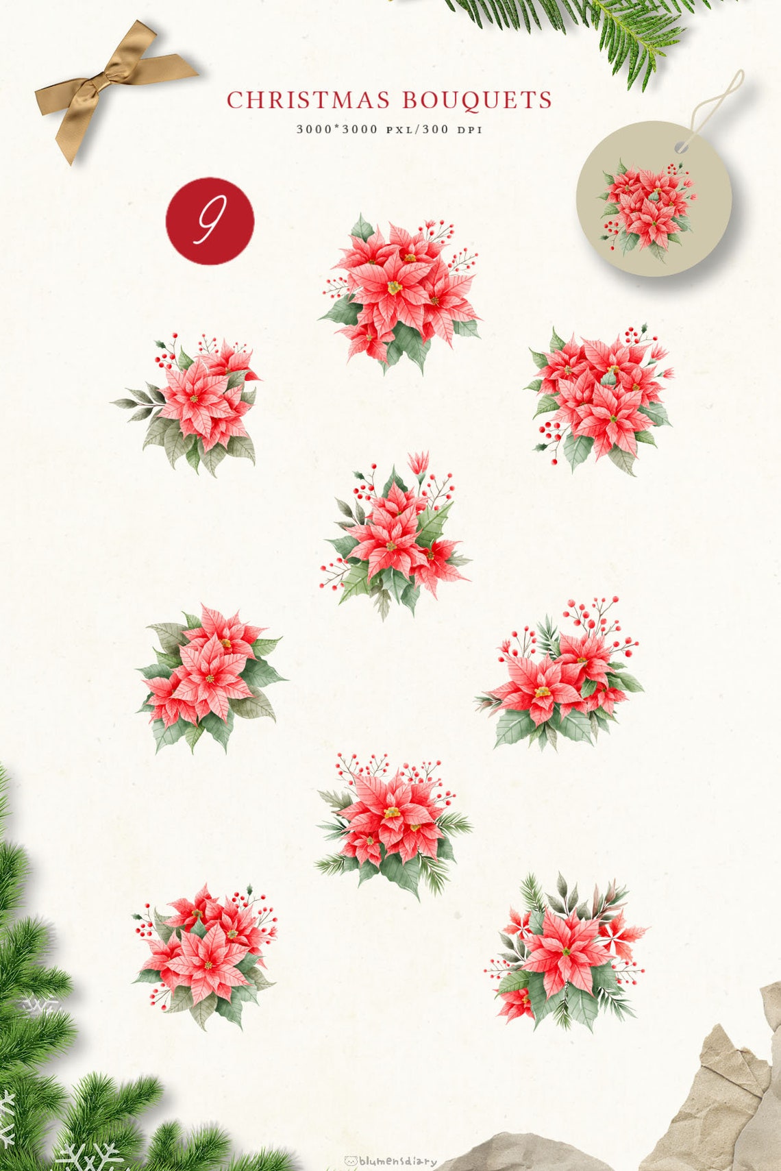 Watercolor Christmas Poinsettia Clipart: Floral PNG Elements (digital ...