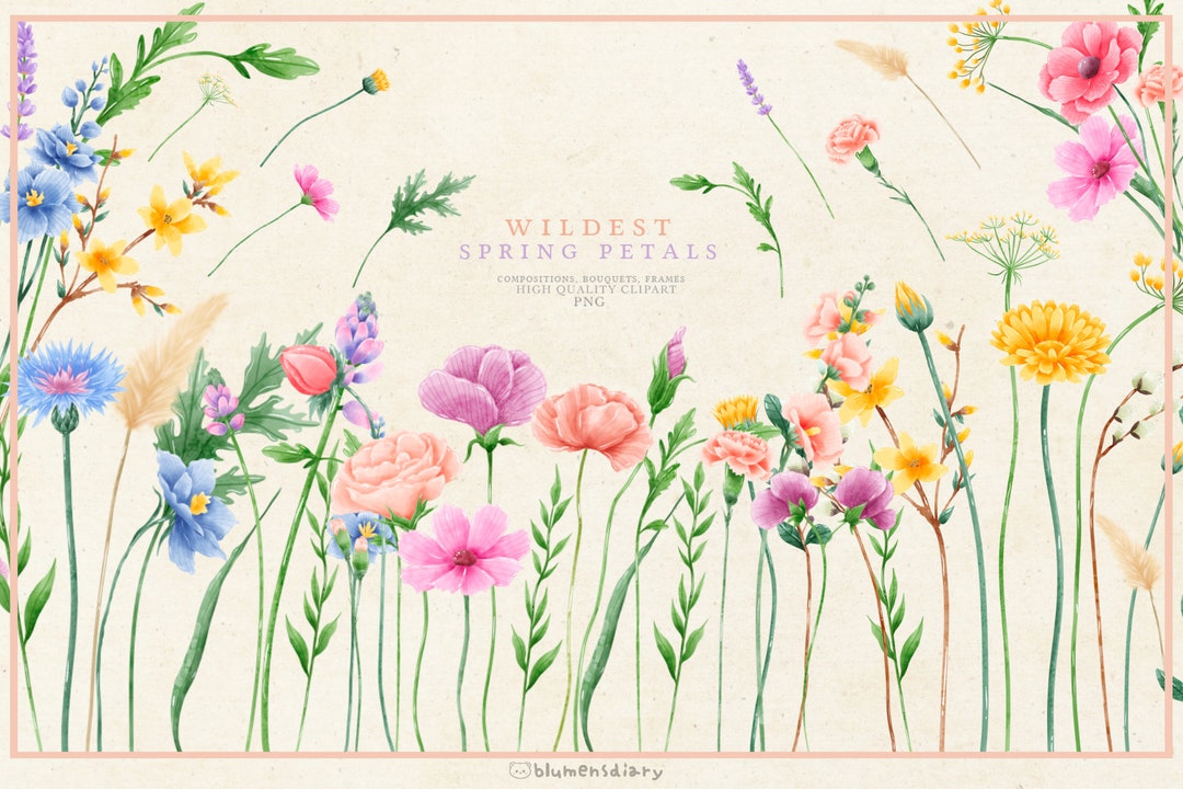 Watercolor Wildflower Clipart: Floral PNG Elements (300 DPI) - Etsy