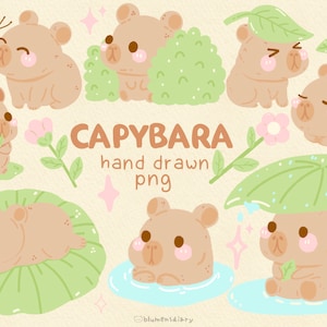 Adorable Kawaii Capybara Clipart-high Quality Png-cute Capybaras Animal Illustrations-printable ...