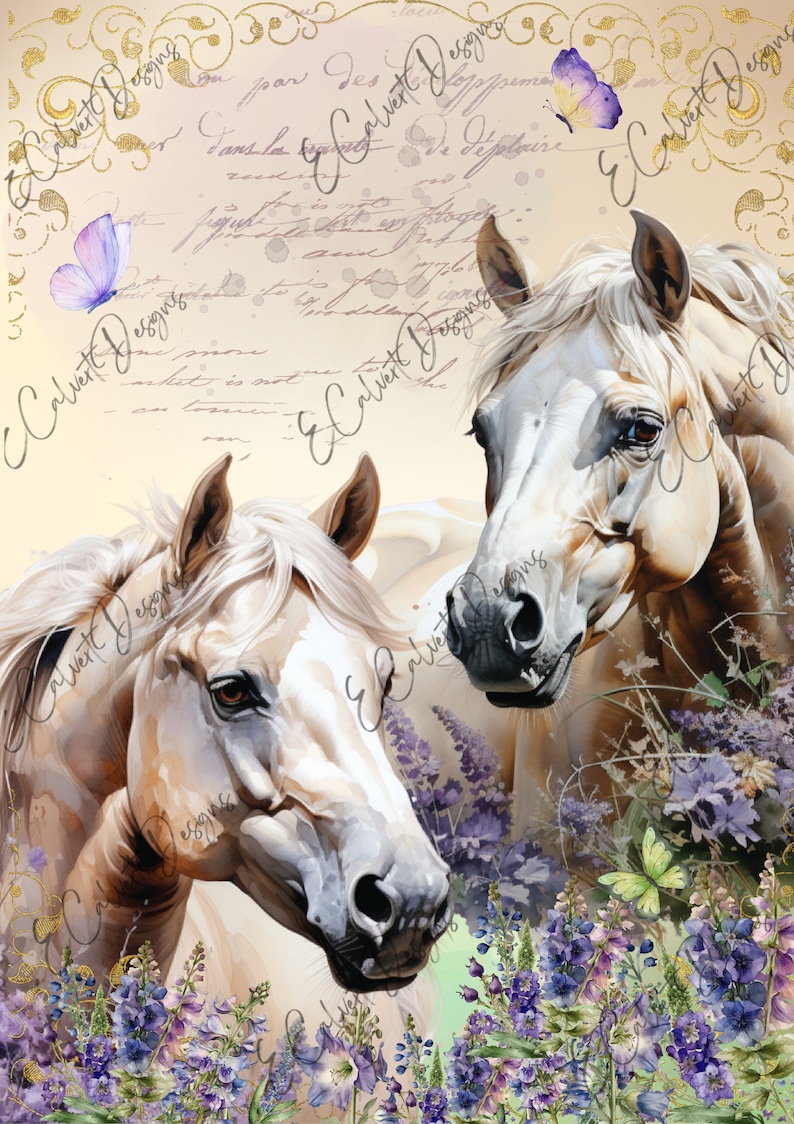 PRINT ONLY** Two White Horses With Lavender Butterflies Florals ...