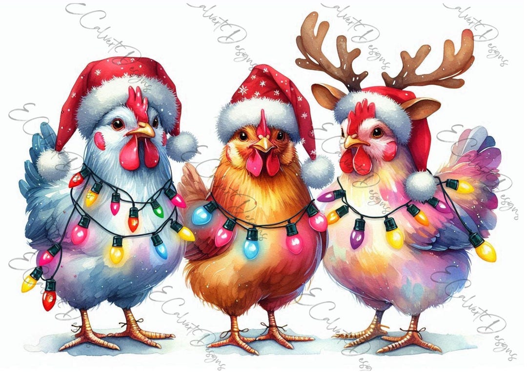 Christmas Chickens, Strings of Lights, Santa Hat, Reindeer Antlers ...