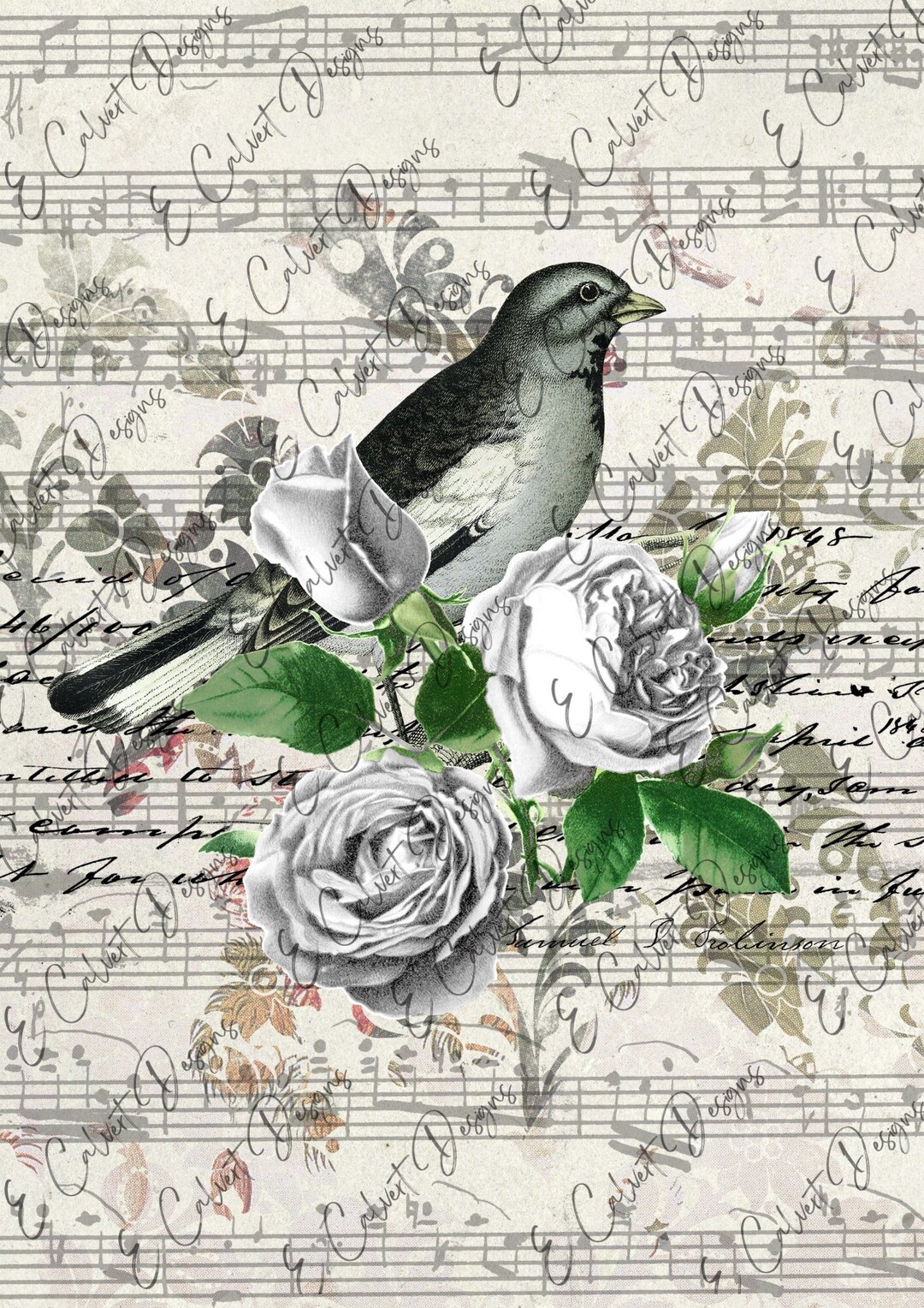 Bird Ephemera Green, Black Floral Digital Download for Rice Paper ...