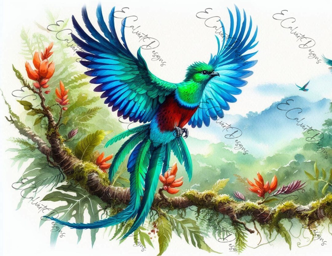 Resplendent Quetzal Bird Digital Download A4 Rice Paper Decoupage Junk ...