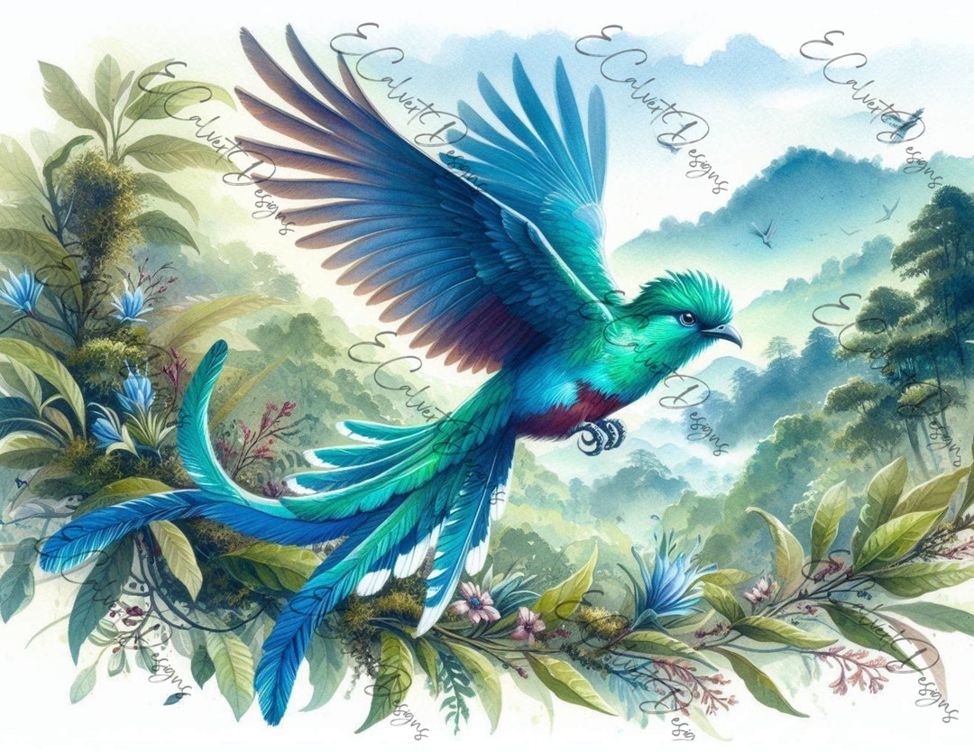 Resplendent Quetzal Bird Digital Download A4 Rice Paper Decoupage Junk ...