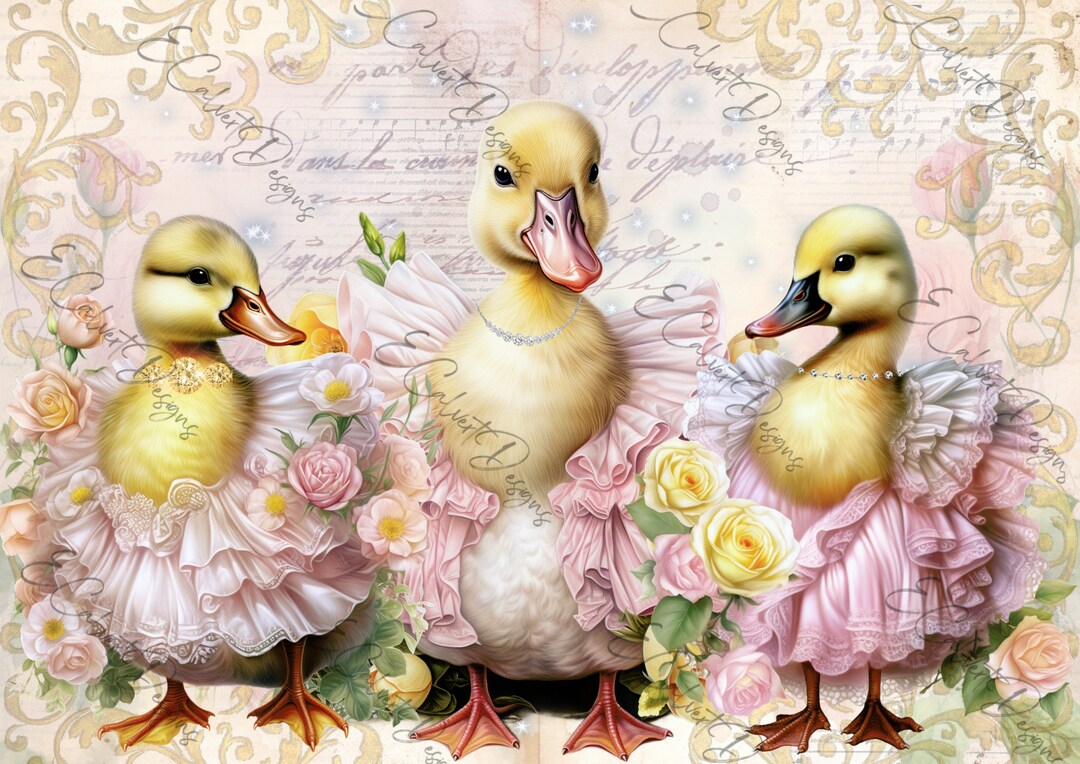 Print Only** Pack of 2 A4 Rice Paper Prints Easter Ducks With Fancy ...