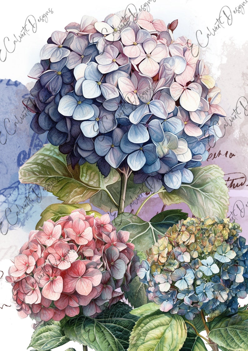 Hydrangea Bouquet Digitals for Rice Paper A4 Decoupage Watercolor - Etsy
