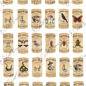 8.5 X 11 Collage Sheet, Domino Images 1X2 Digital Instant Download ...