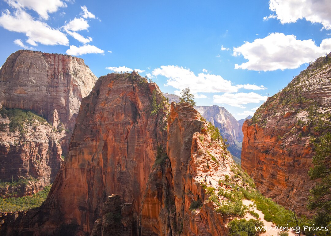 Angels Landing in Zion National Park | National Park Print, Nature ...