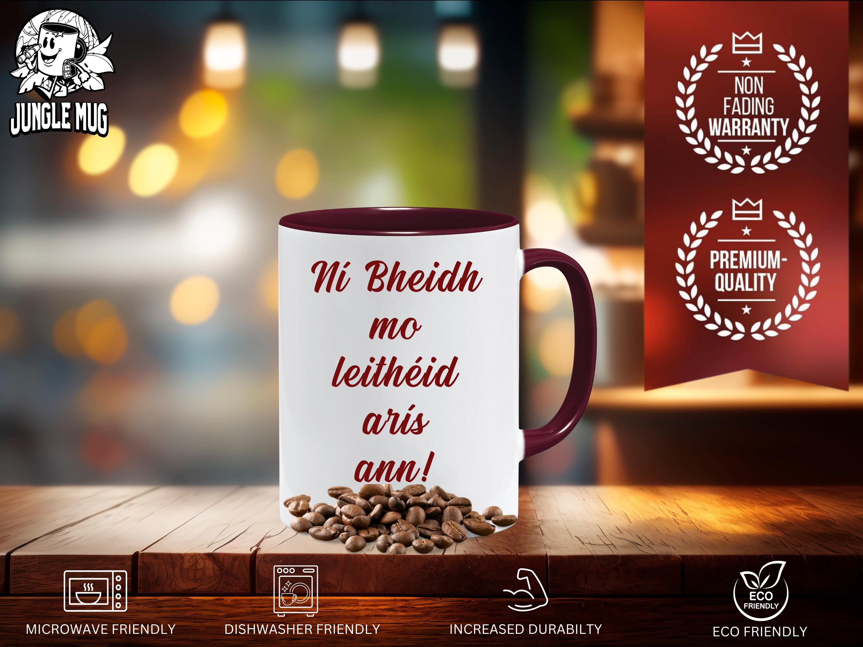 Irish Language Mug – Ní Bheidh Mo Leithéid Arís Ann | Gaeilge Gift - Etsy