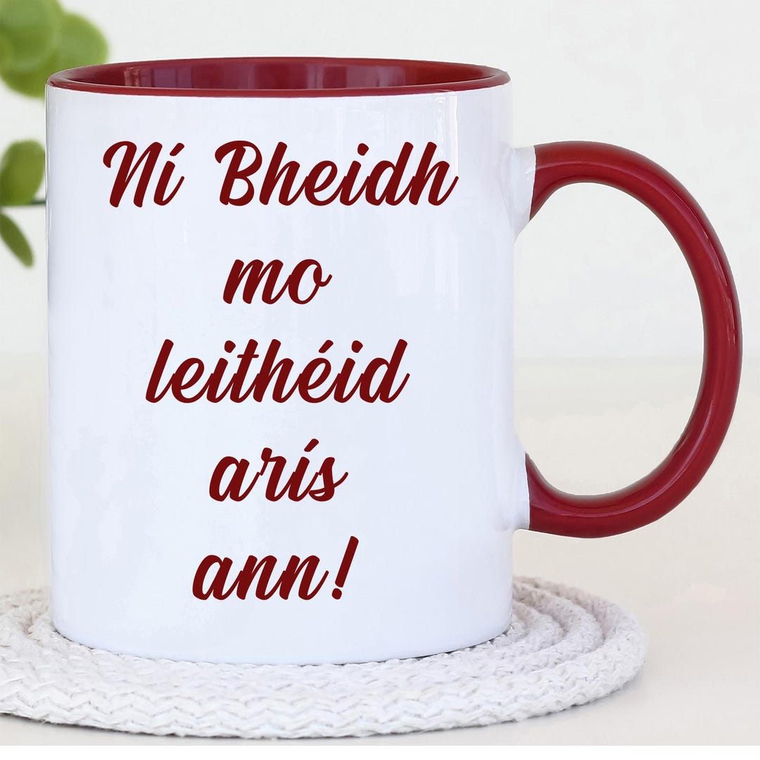 Irish Language Mug Ni Bheidh Mo Leithéid Arís Ann Coffee Cup Funny as ...