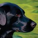 Black Lab Labrador Retriever Digital Download Printable Poster Owner ...