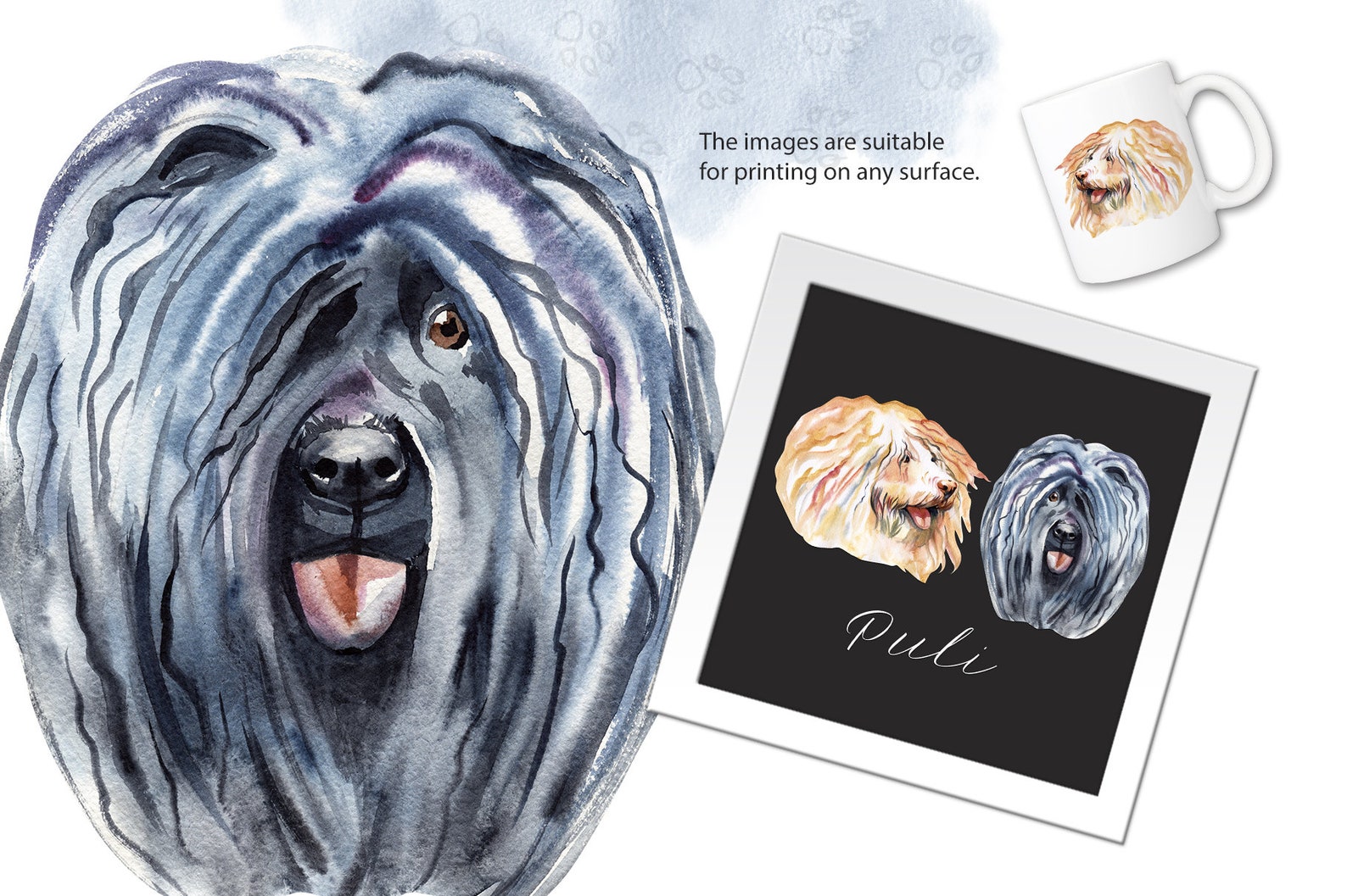 Watercolor Dog, Puli Breed, Fluffy Dog Clipart, Dog Breed Png - Etsy