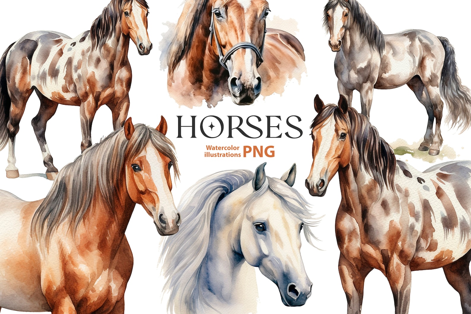 Watercolor Horse Clipart Set, 5 Png, Horses Vintage Clipart, Cottage ...
