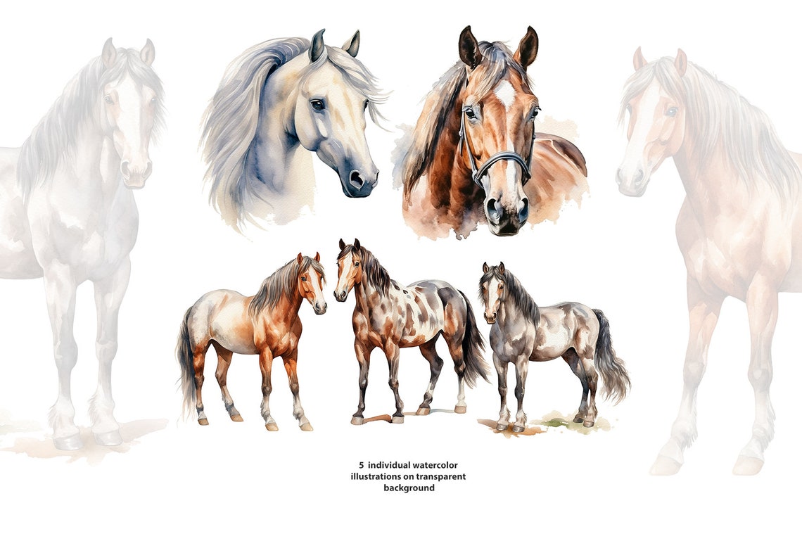 Watercolor Horse Clipart Set, 5 Png, Horses Vintage Clipart, Cottage ...