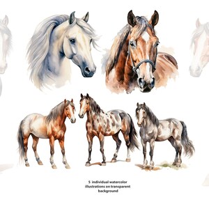 Watercolor Horse Clipart Set, 5 Png, Horses Vintage Clipart, Cottage ...
