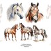 Watercolor Horse Clipart Set, 5 Png, Horses Vintage Clipart, Cottage ...