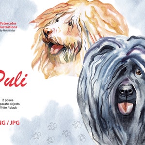 Watercolor Dog, Puli Breed, Fluffy Dog Clipart, Dog Breed Png - Etsy